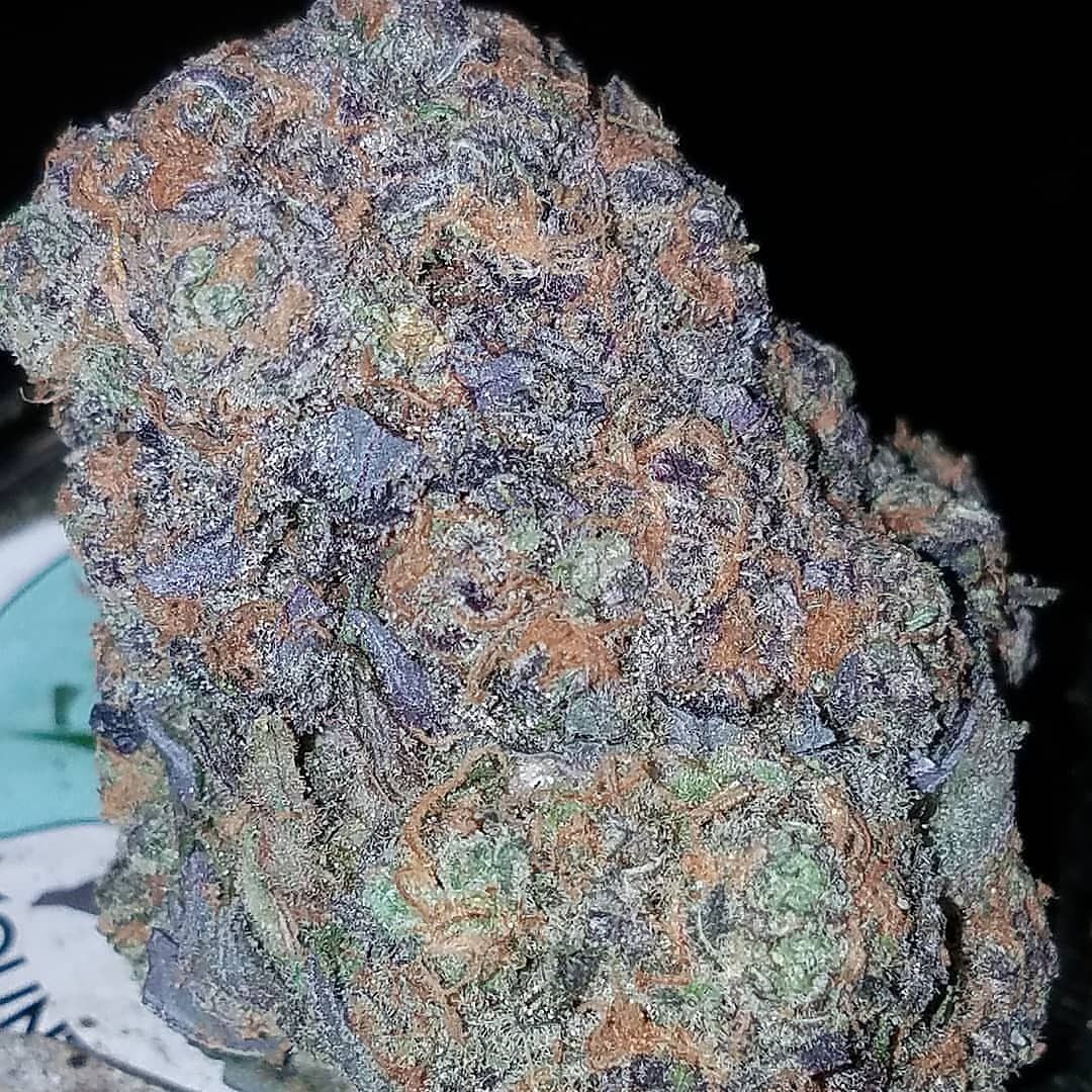 Sunset octane | Scrolller