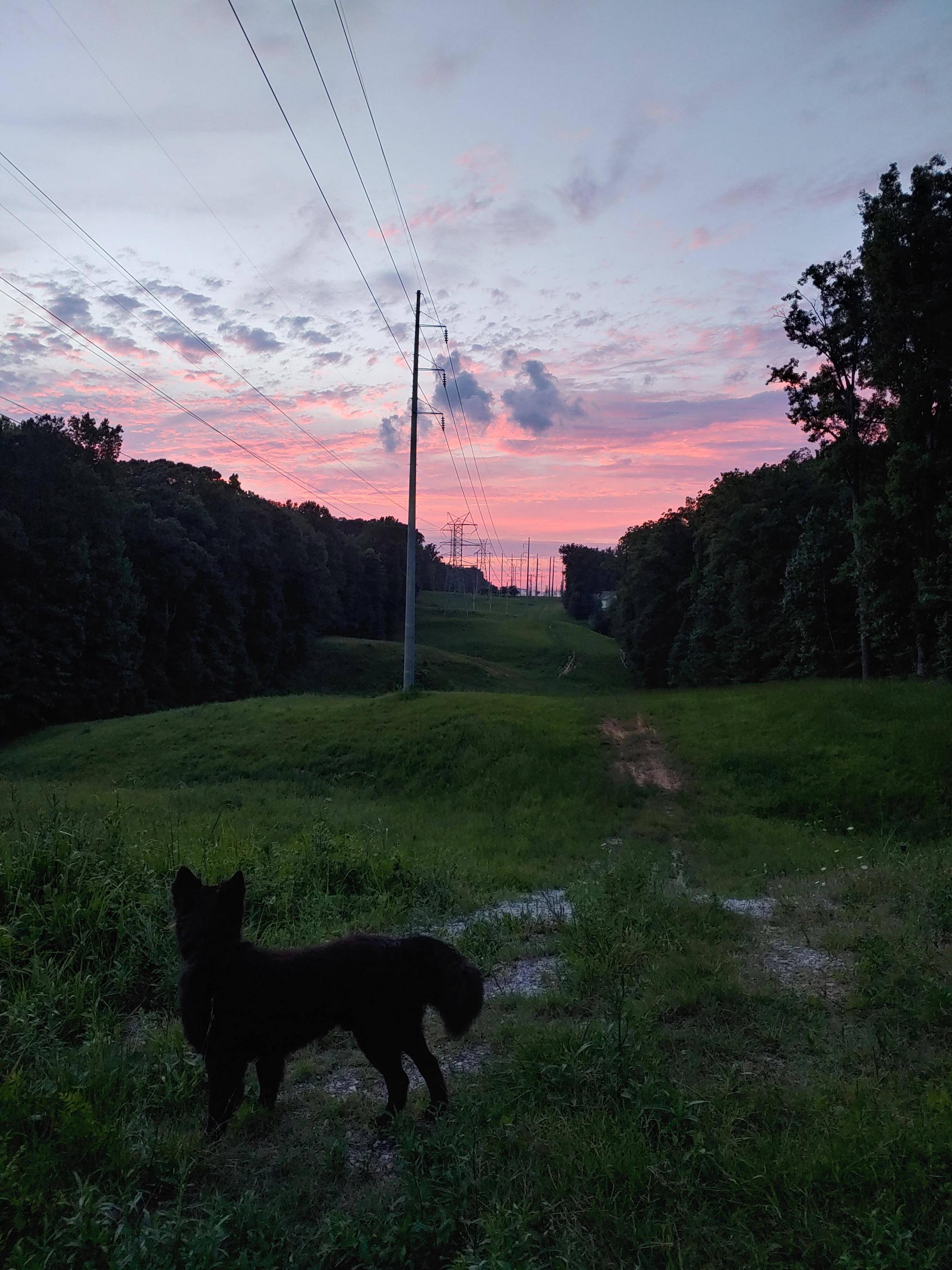 Sunset run | Scrolller