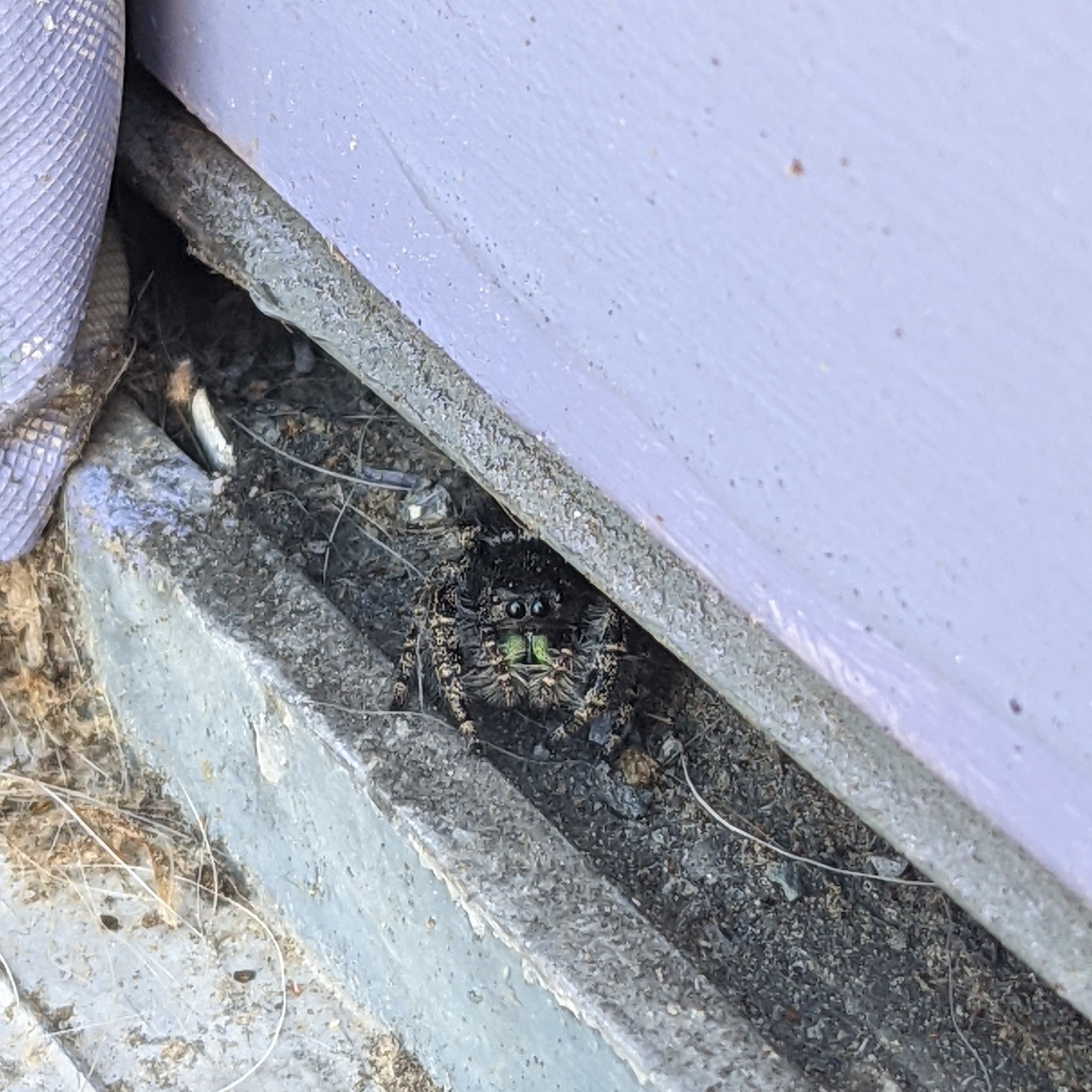 Sup, bro? | Scrolller