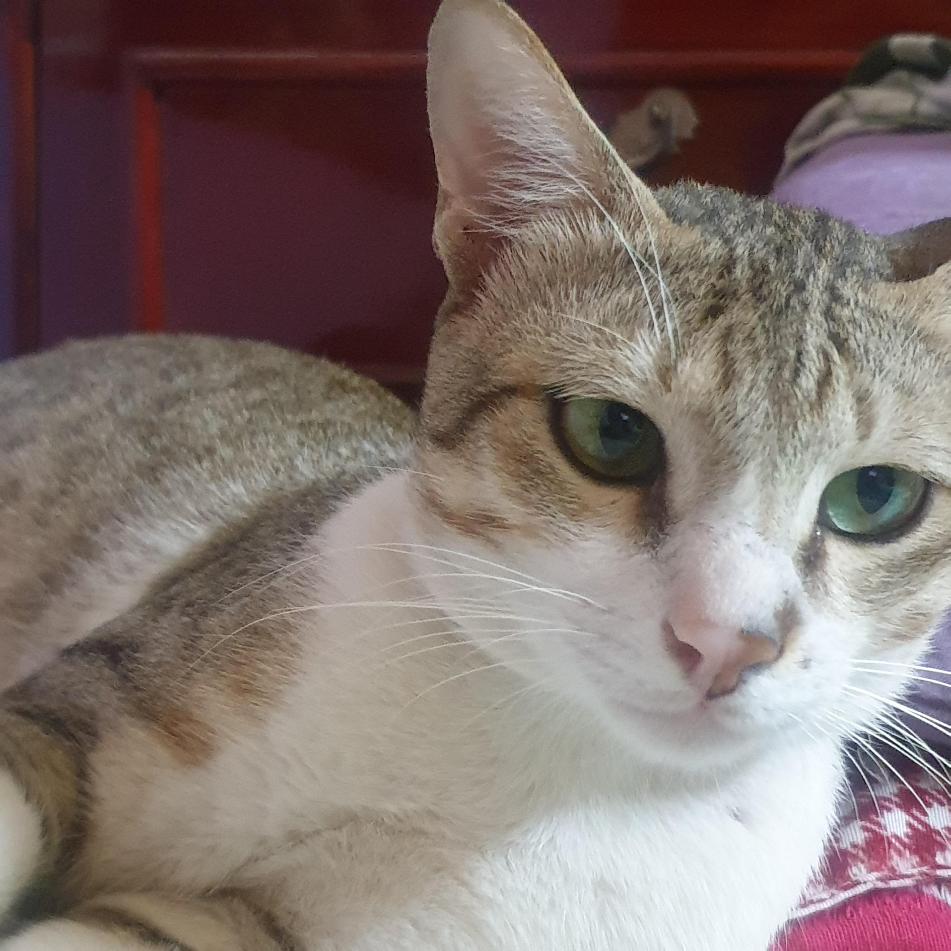 Sup bruh!? | Scrolller