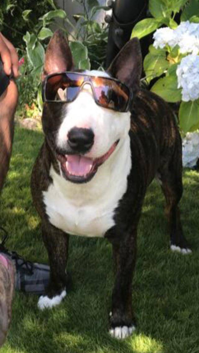 😎 sup | Scrolller