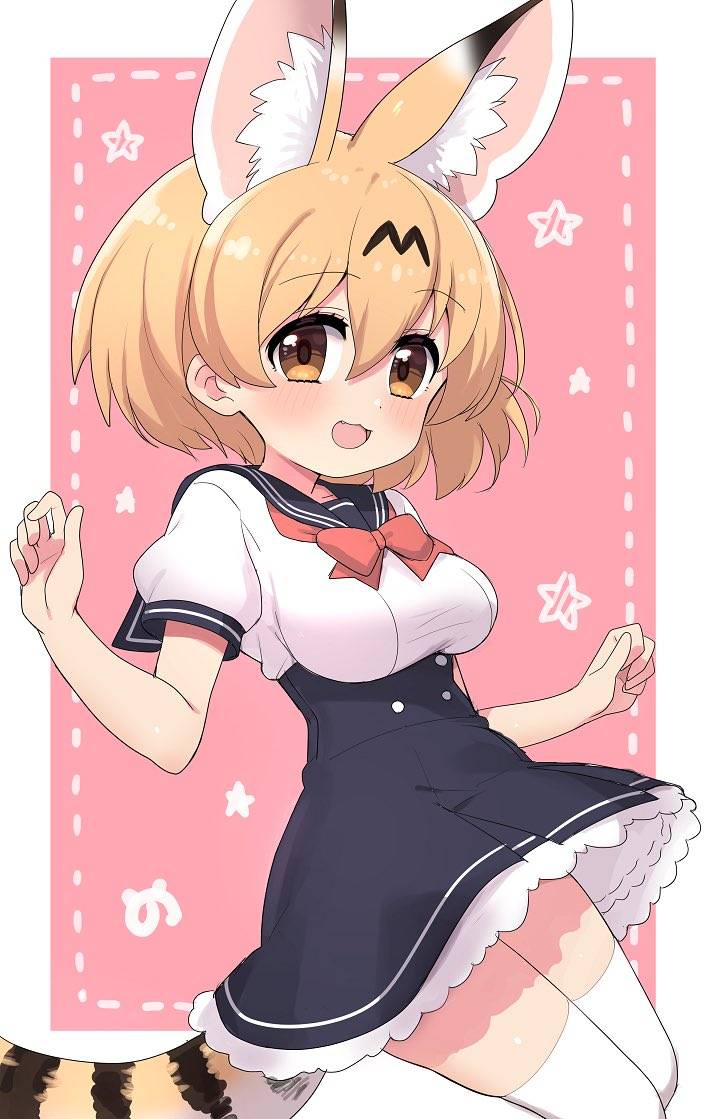 Super Cute Sailor Suit Serval! | Scrolller