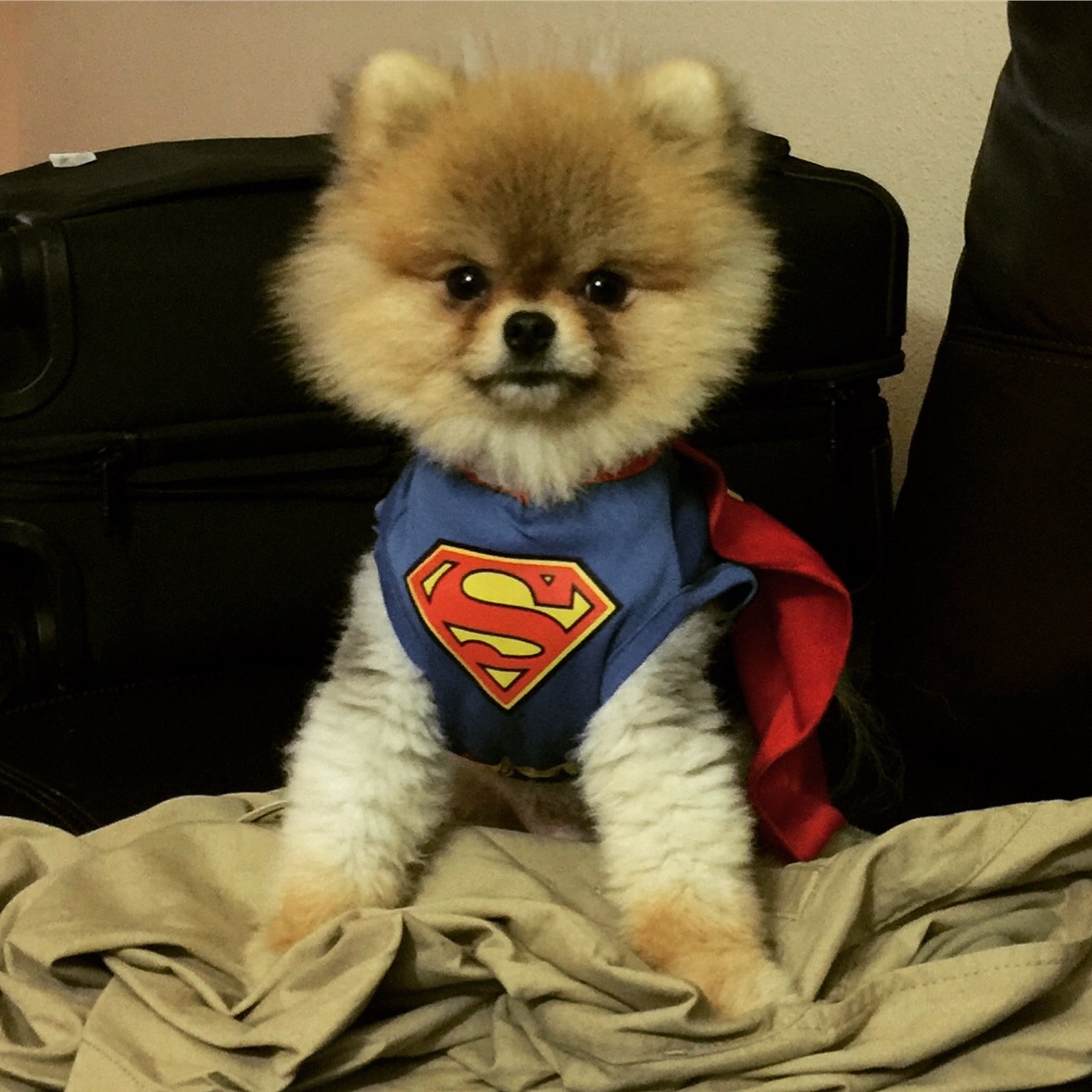 Super Duper! #haloweencostume | Scrolller