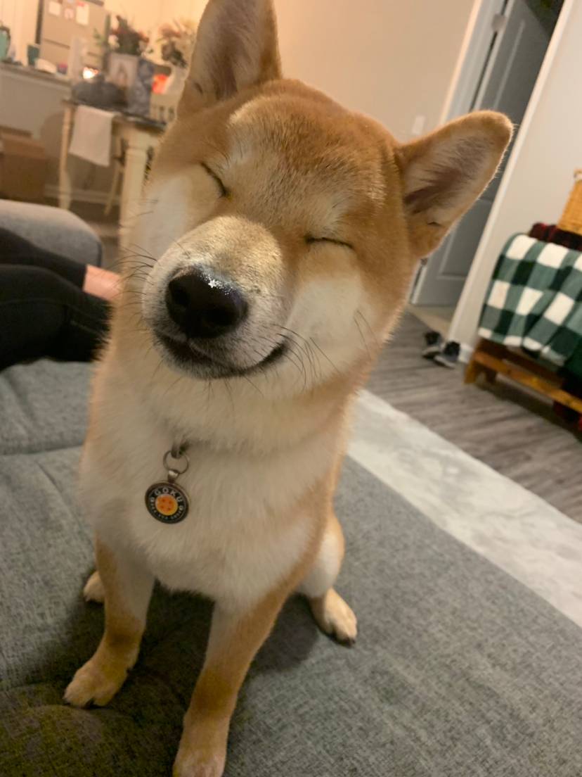 Superstar | Scrolller