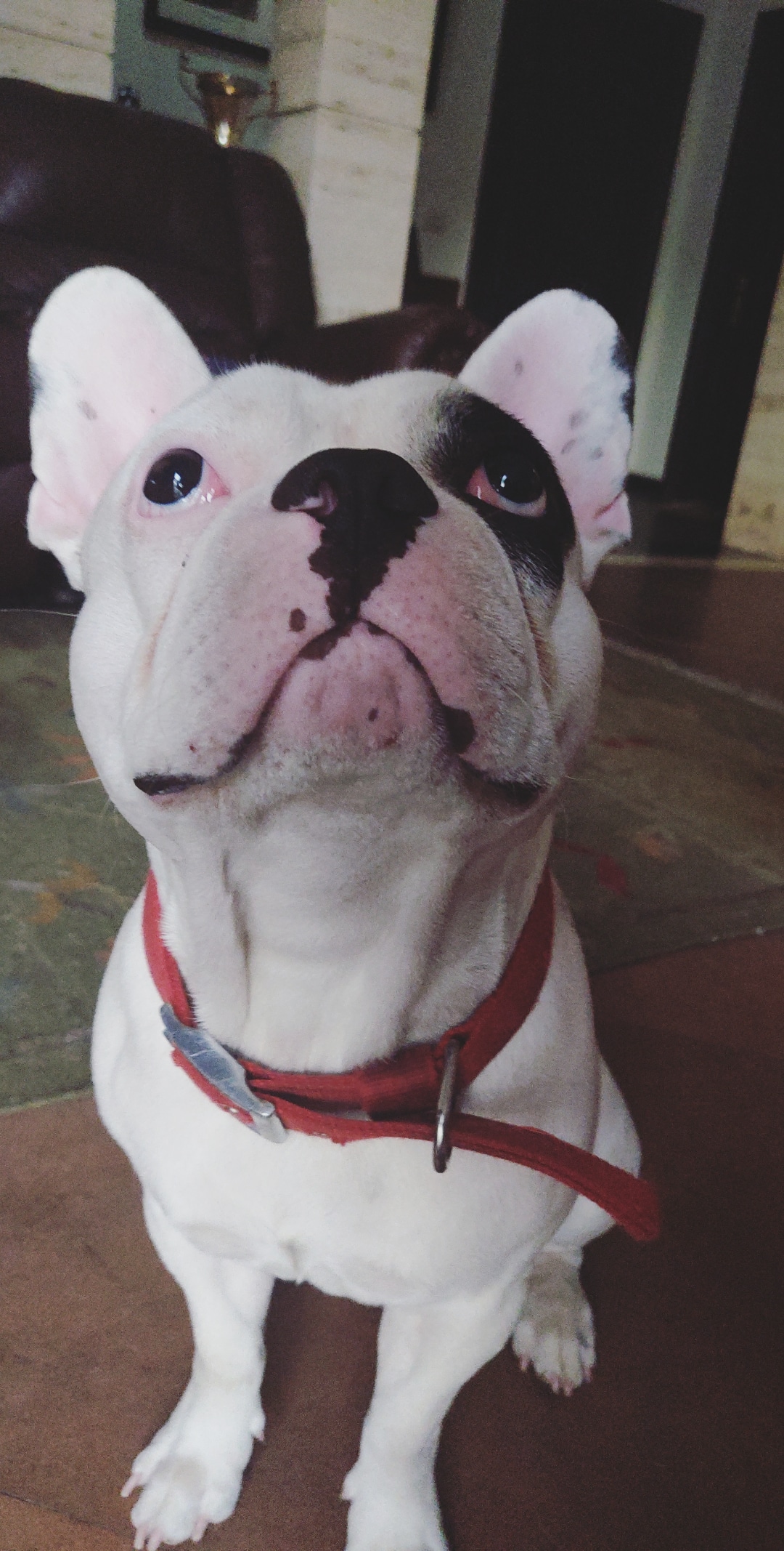 Support him | Scrolller