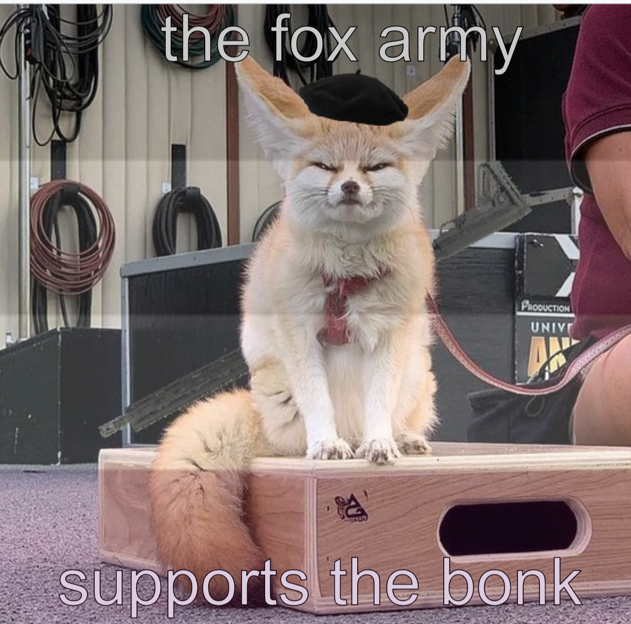support the bonk | Scrolller
