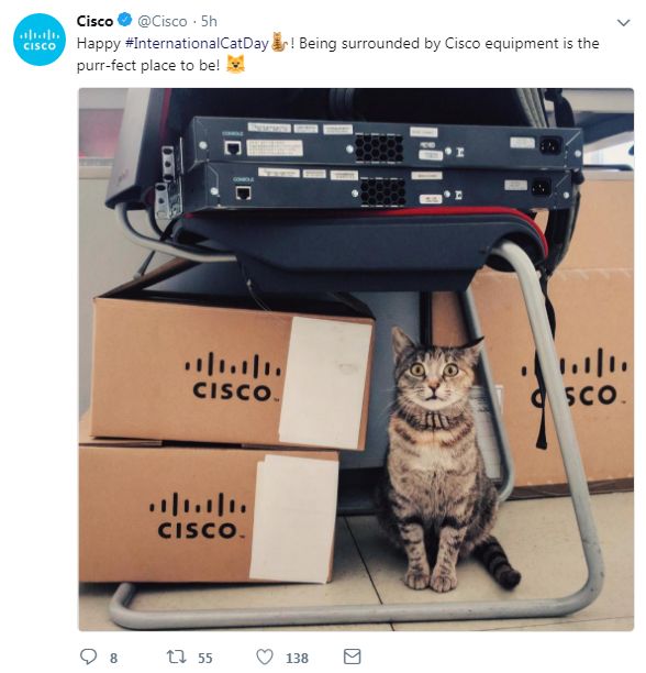 Sure Cisco, look how happy he is!! | Scrolller