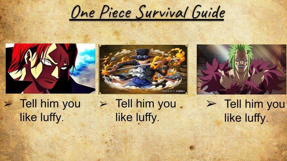 Survival guide Volume 3 | Scrolller