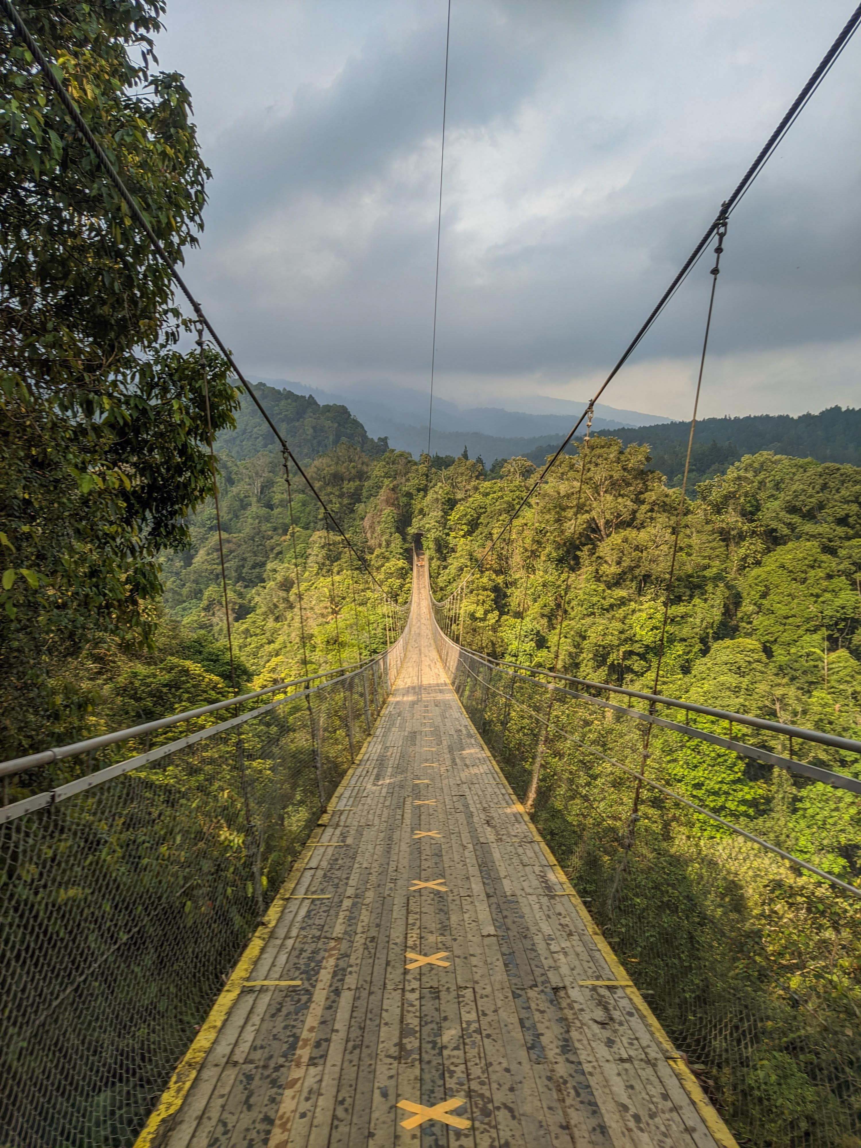 Suspension Bridge | Scrolller