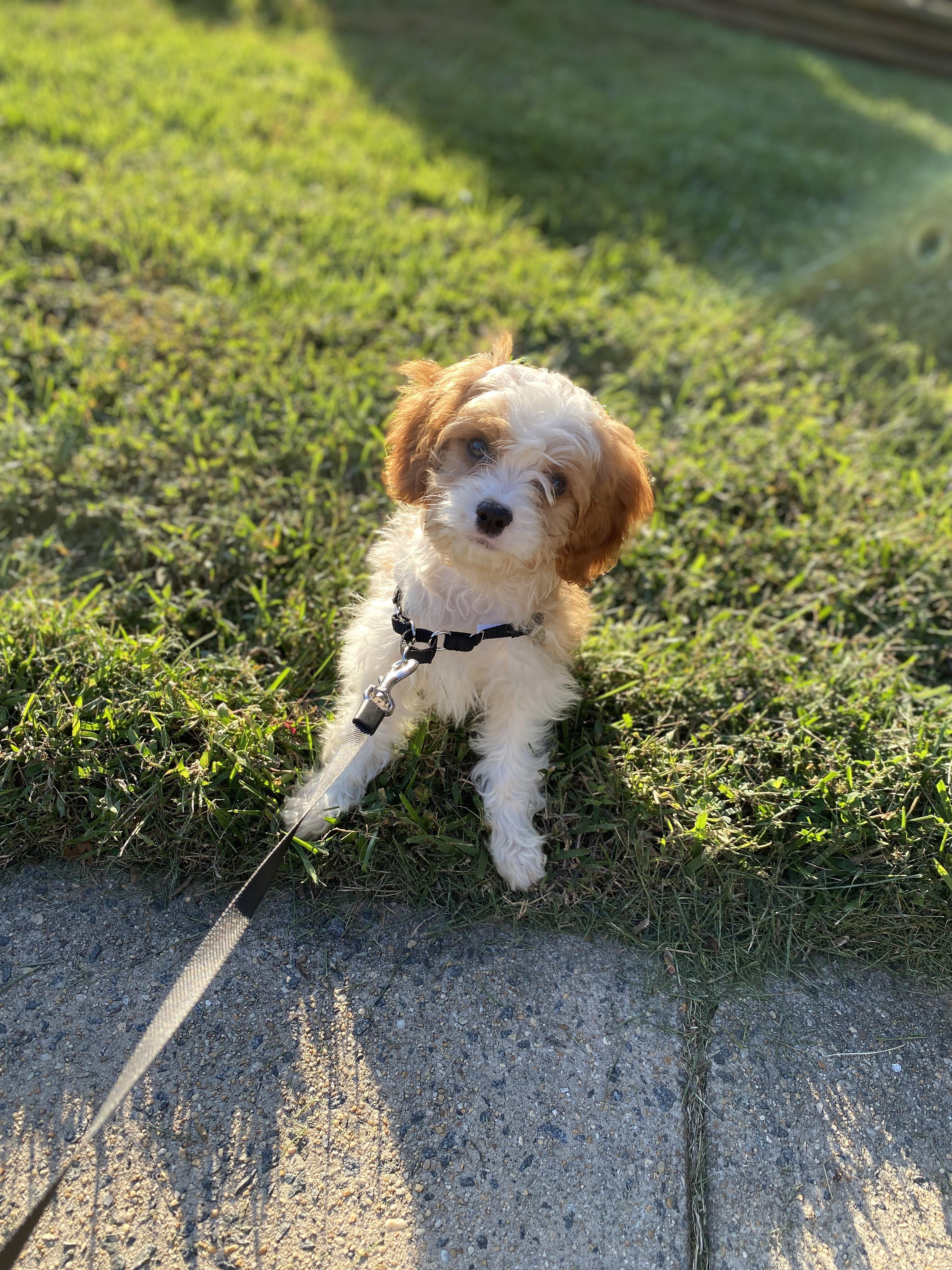 Sweet little guy! | Scrolller