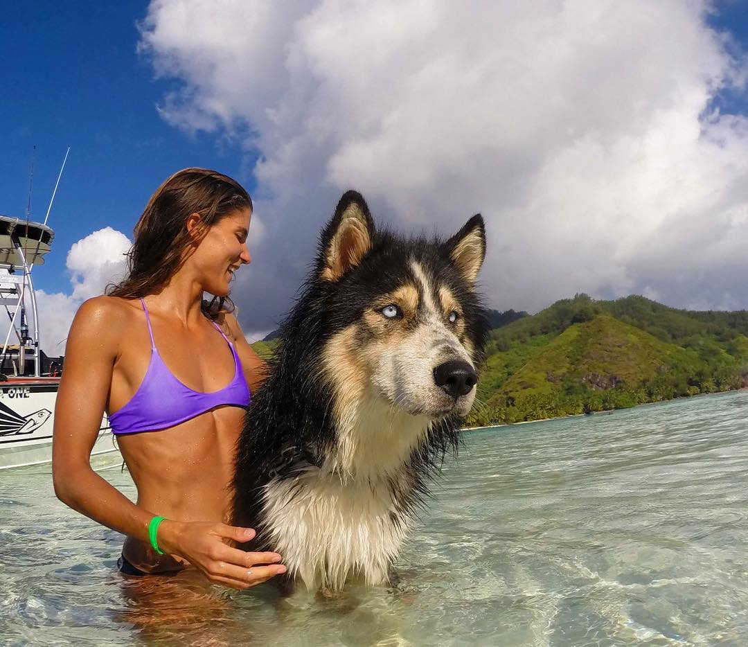 Swimming Doggy [x-post /r/KaloeaGirls] | Scrolller