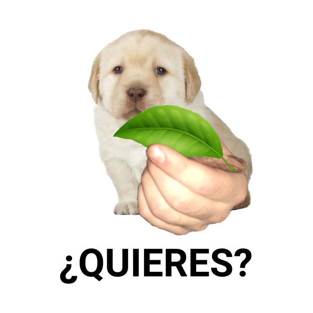 Symbolic leaf | Scrolller