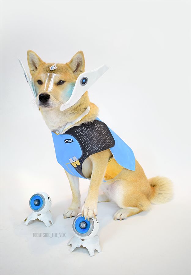 Symmetra doge | Scrolller