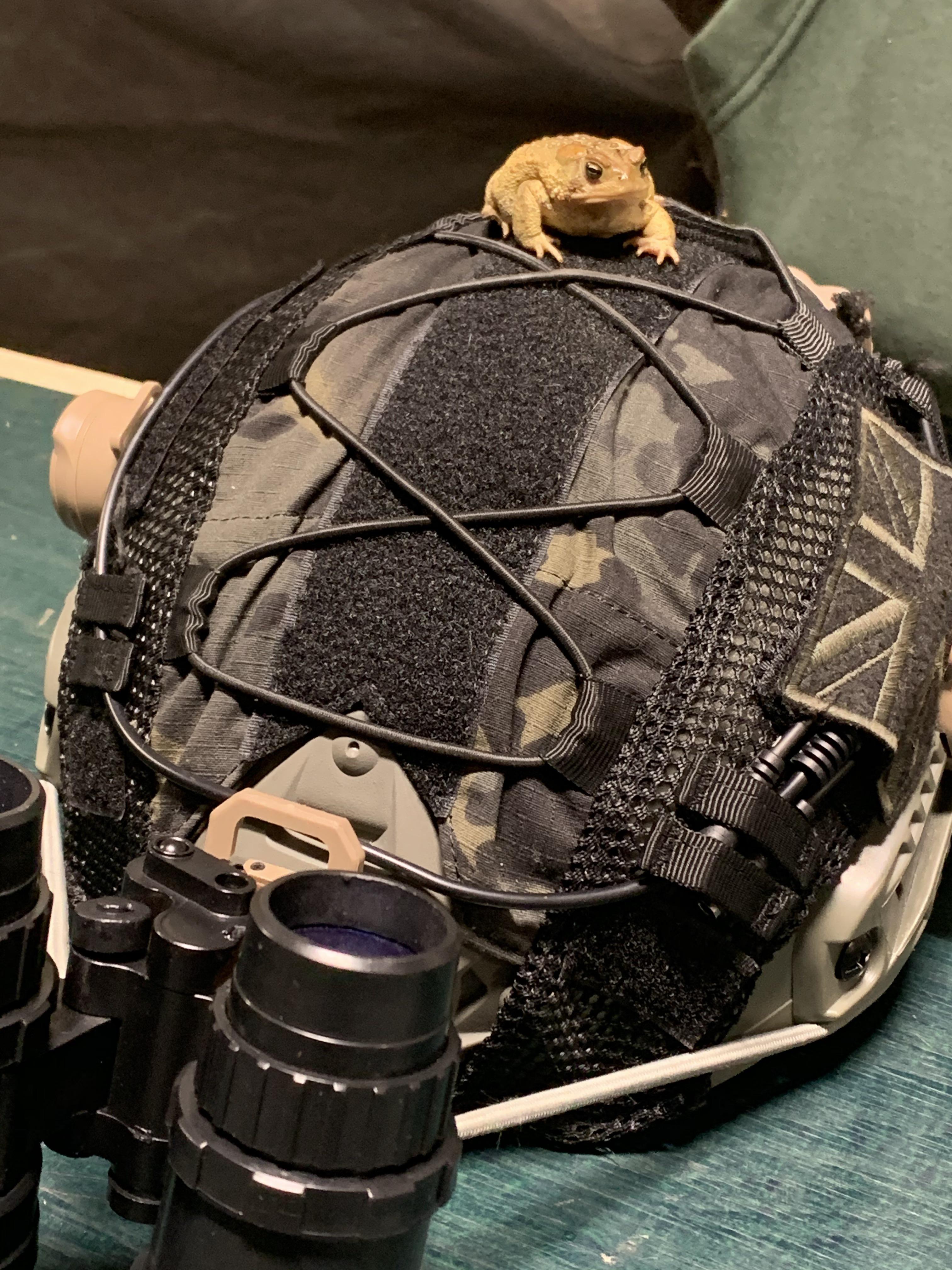 Tactical Toad T-thursday | Scrolller