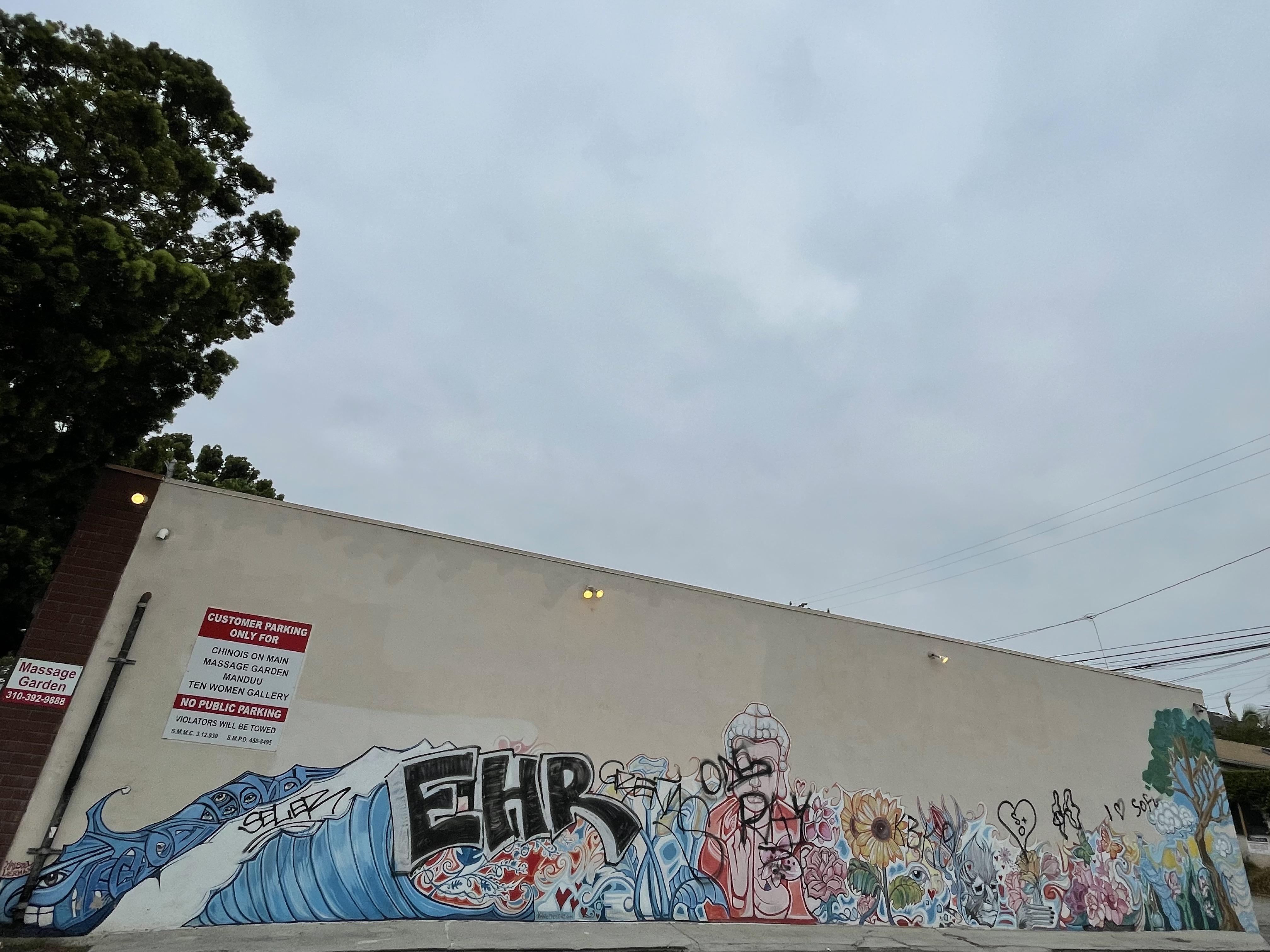 Tagging a pretty mural. | Scrolller