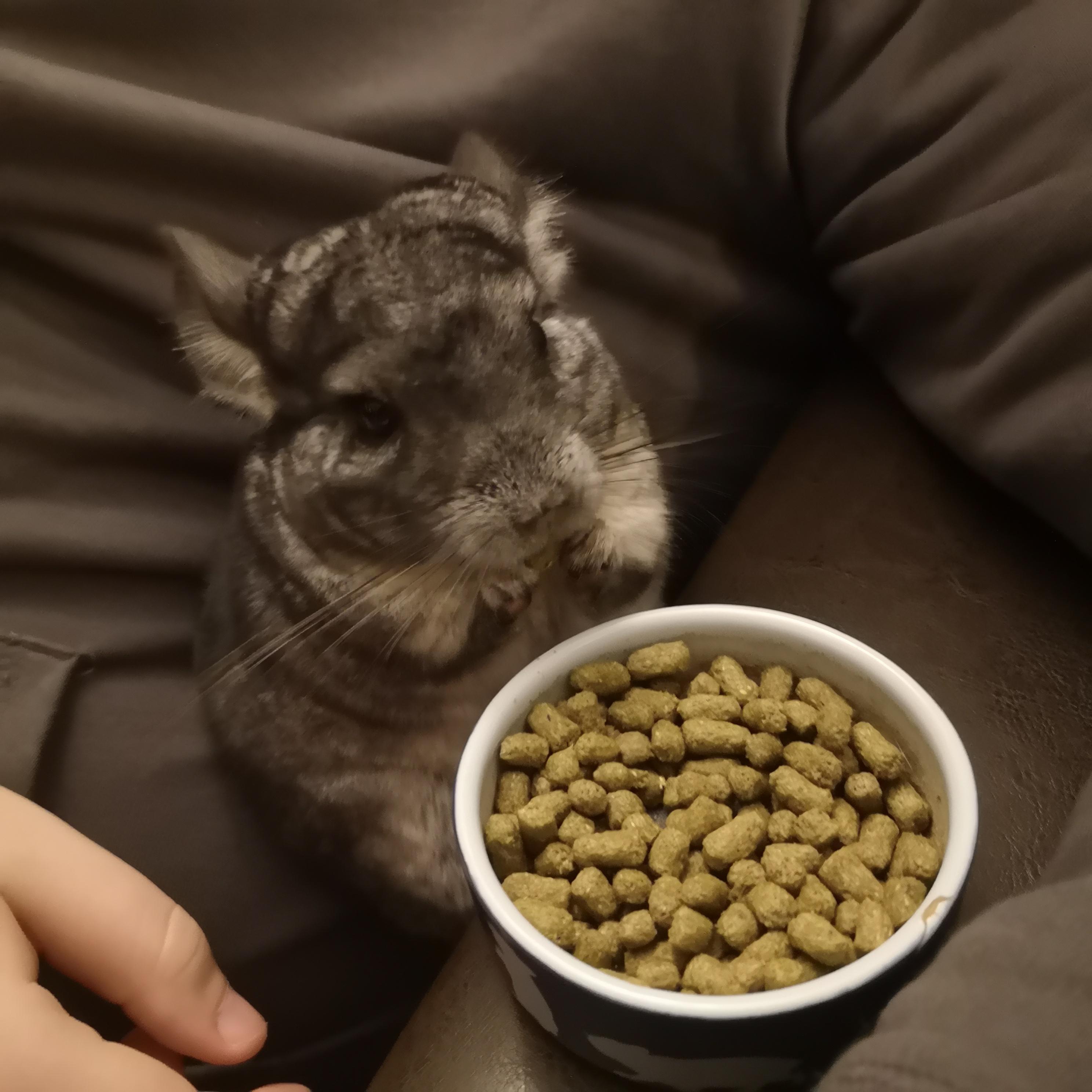 Tails pulling at the heart strings as usual | Scrolller