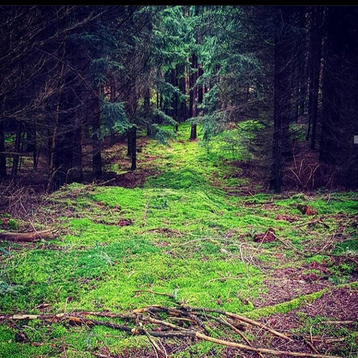 Take a walk... | Scrolller