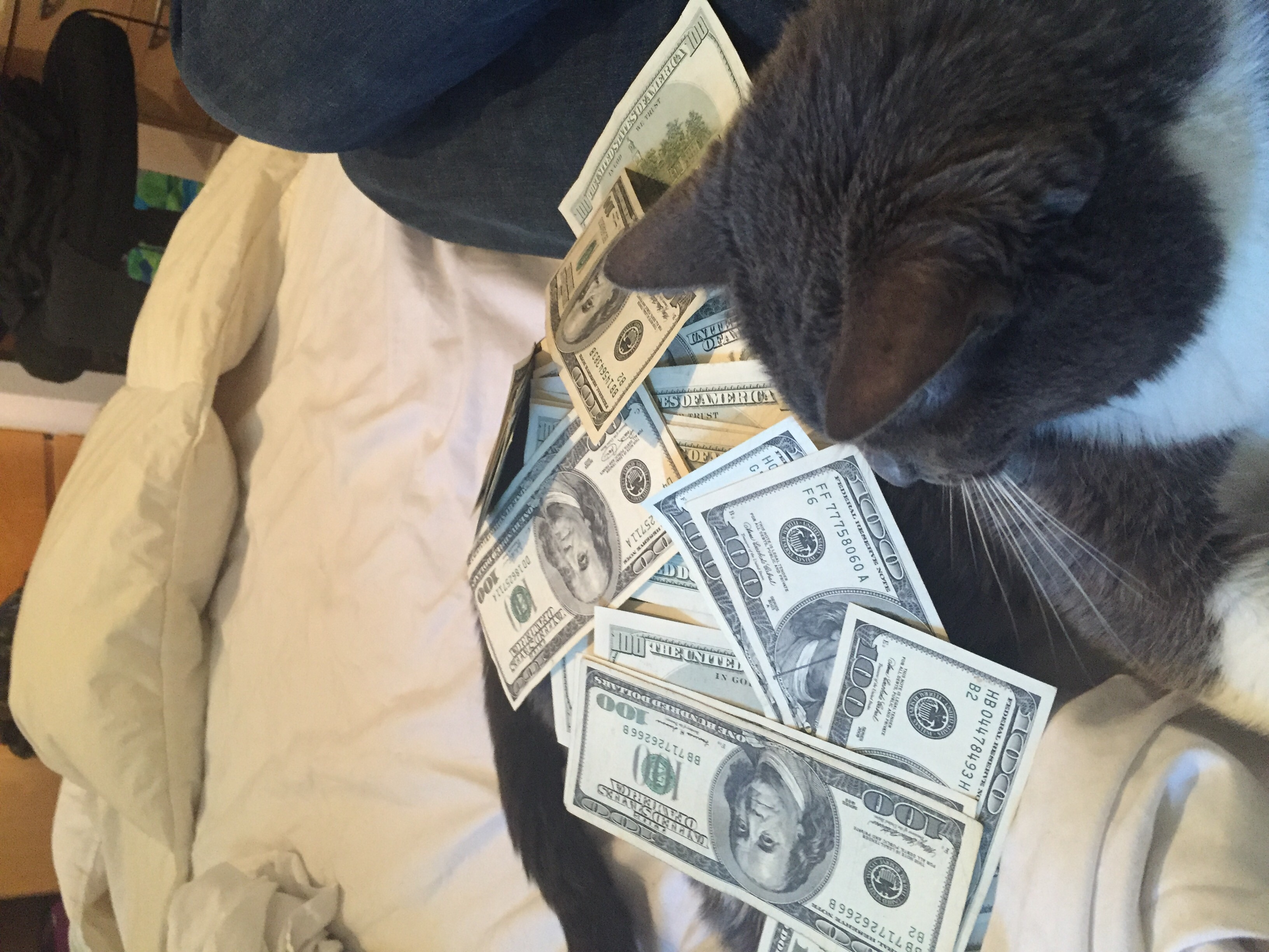 Takin a bath in Benjamins | Scrolller