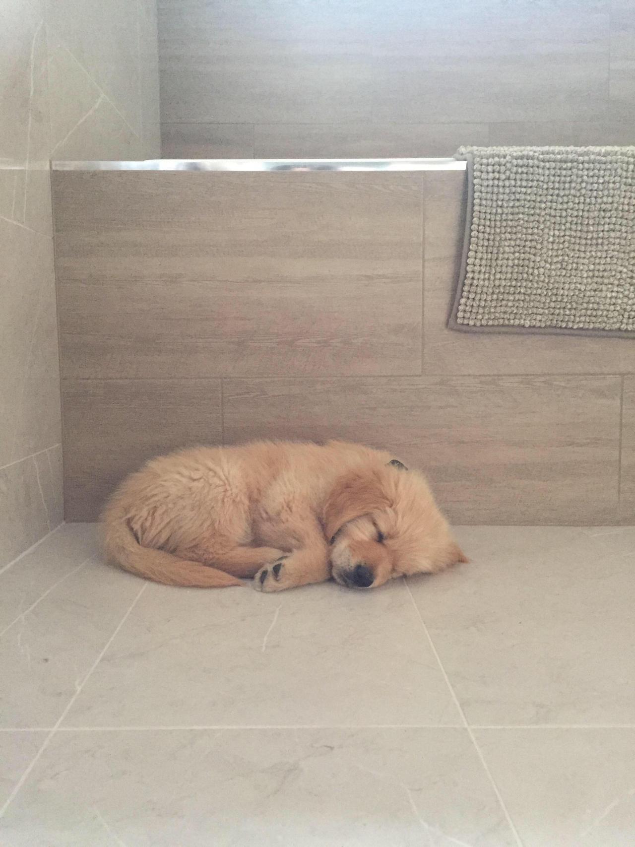 taking a nap | Scrolller