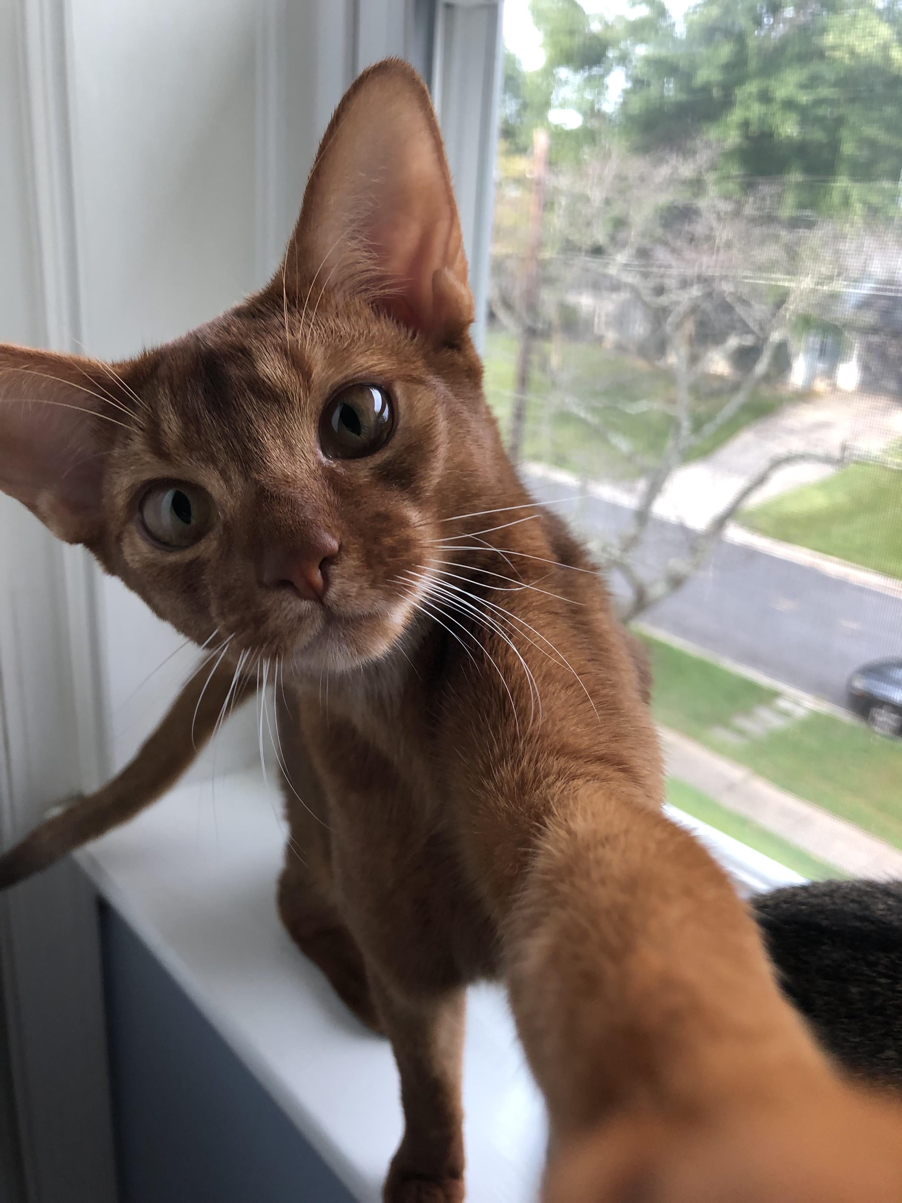 Taking a Selfie! | Scrolller