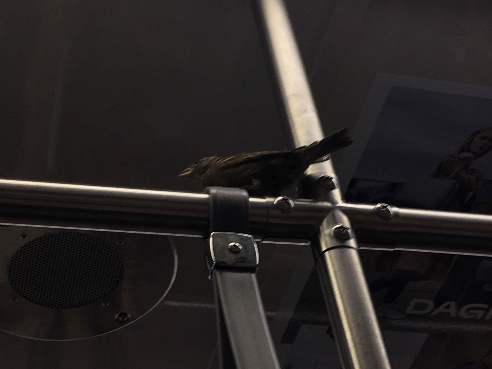 Taking the Northbound Red Line! | Scrolller