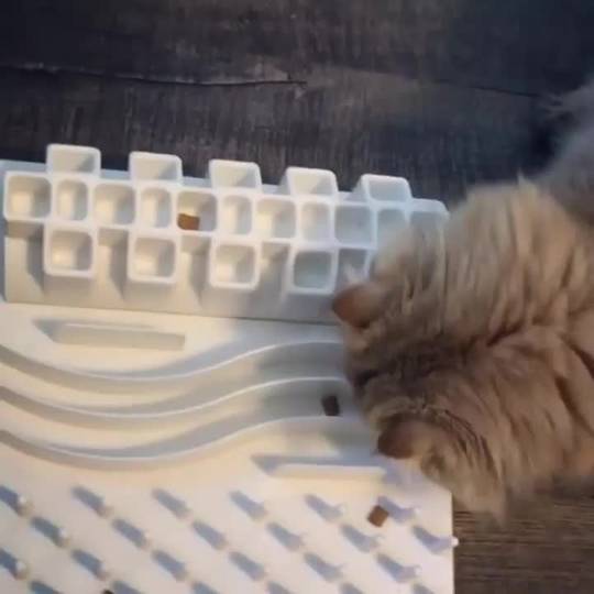 Tap-tap-tapping out a treat | Scrolller