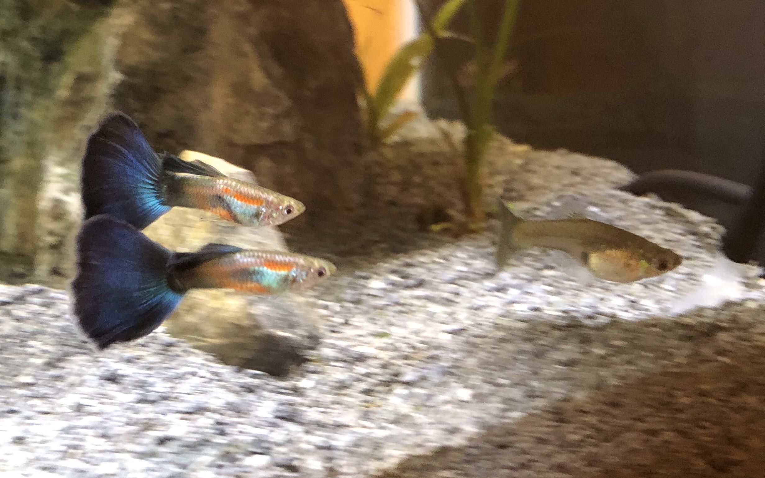 Target locked. | Scrolller