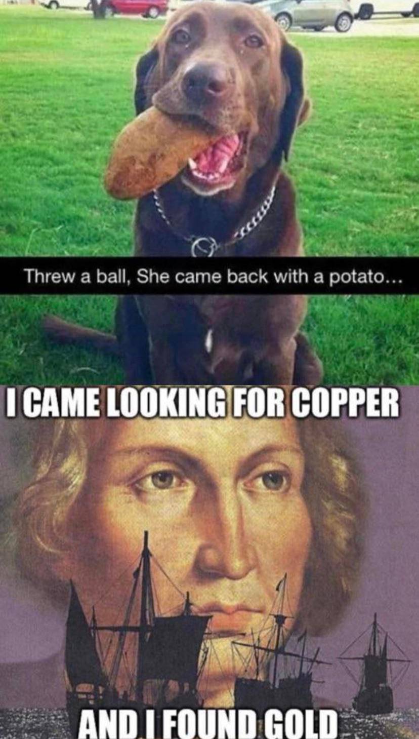 Tater tots | Scrolller