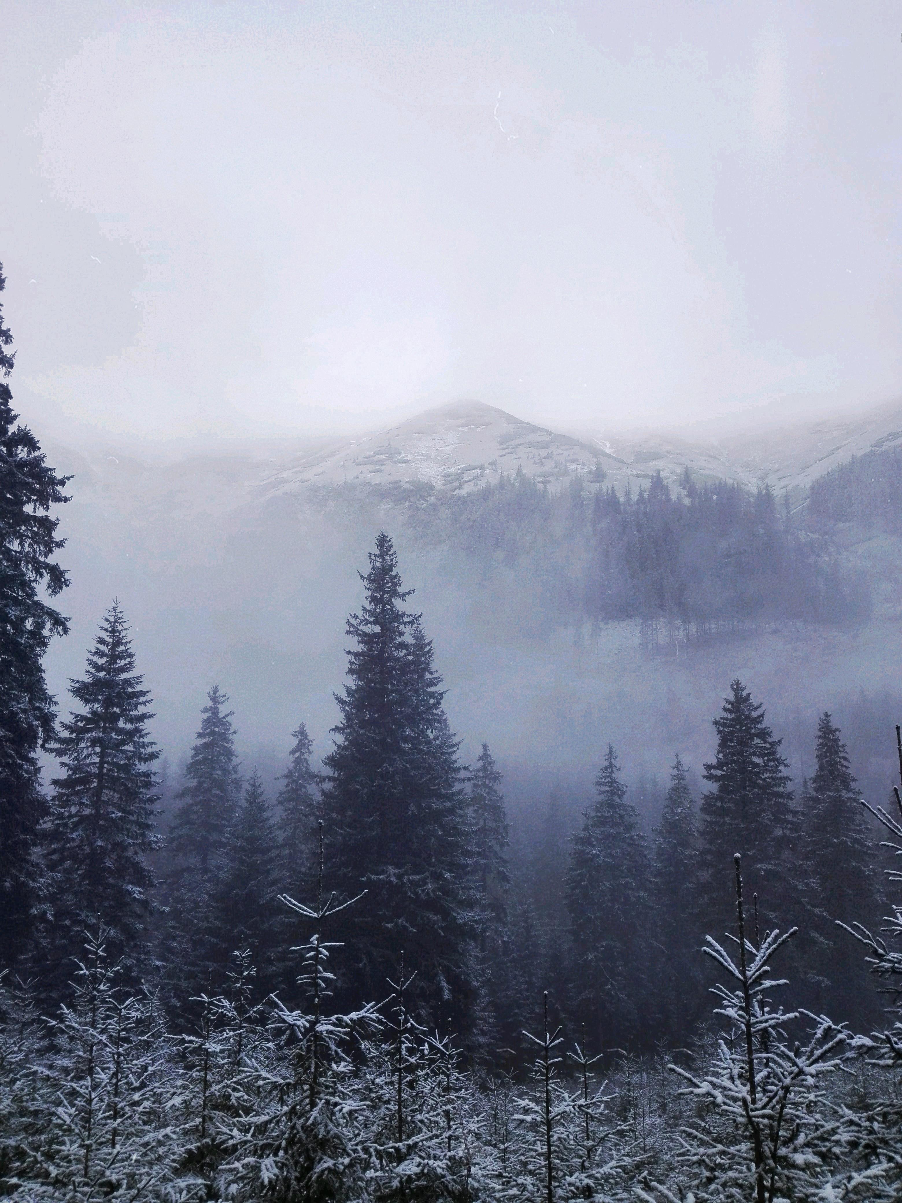 Tatra mountains, Poland 🏔️ | Scrolller
