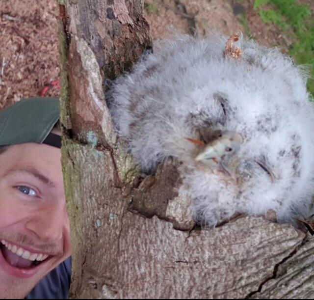 Tawny owl looking very happy! | Scrolller