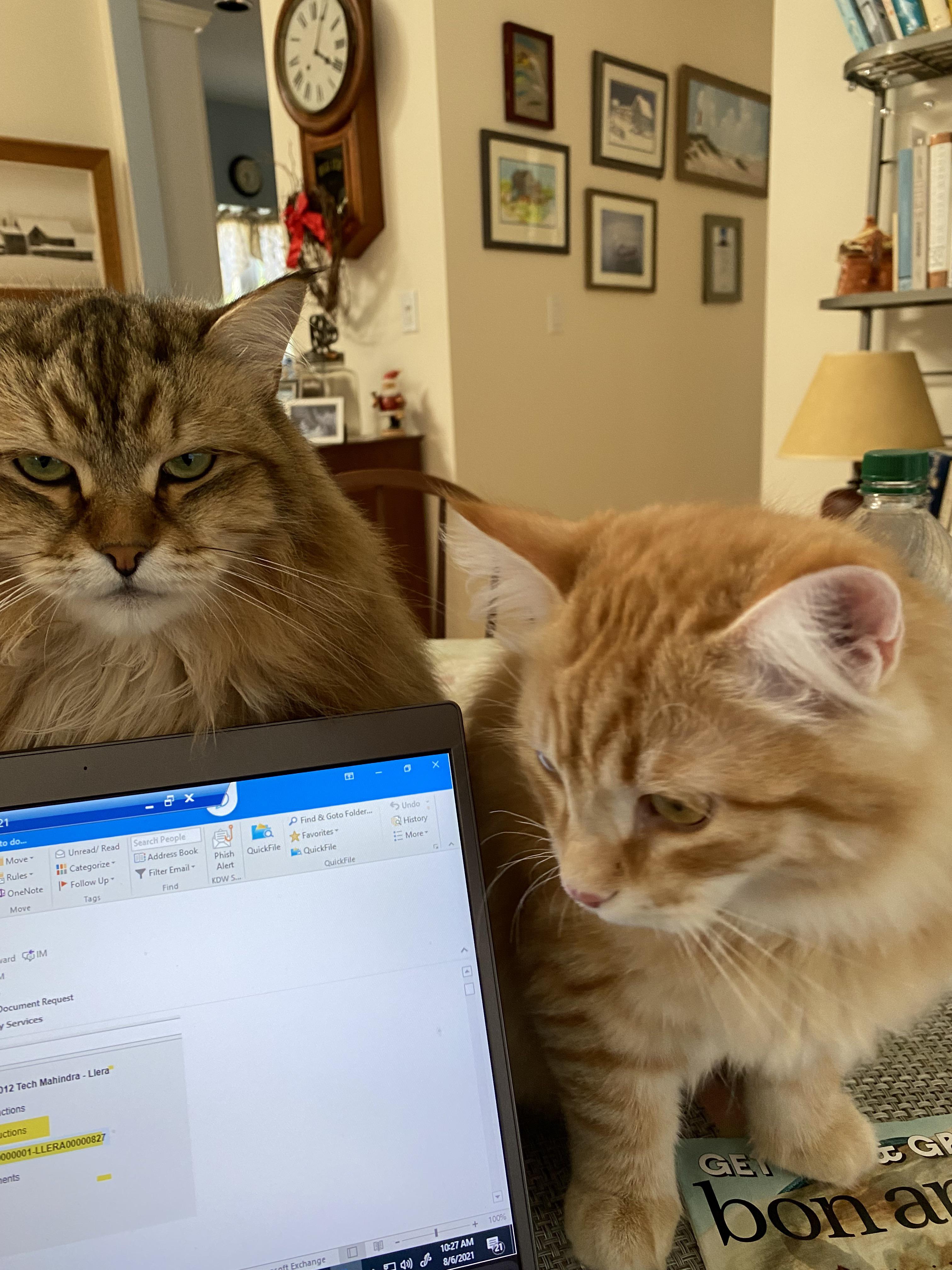 Team meeting: I promised to accommodate extra nap time and to rest- stock the break room with ...