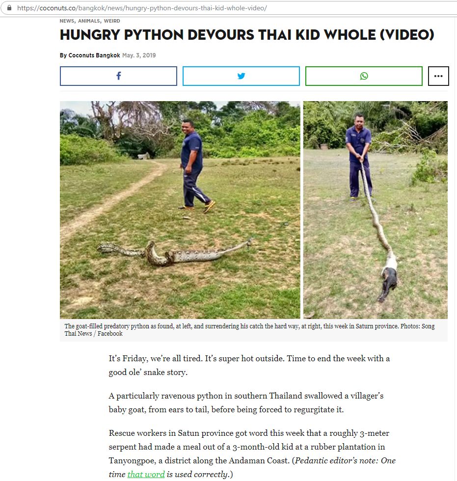 Technically correct | Scrolller