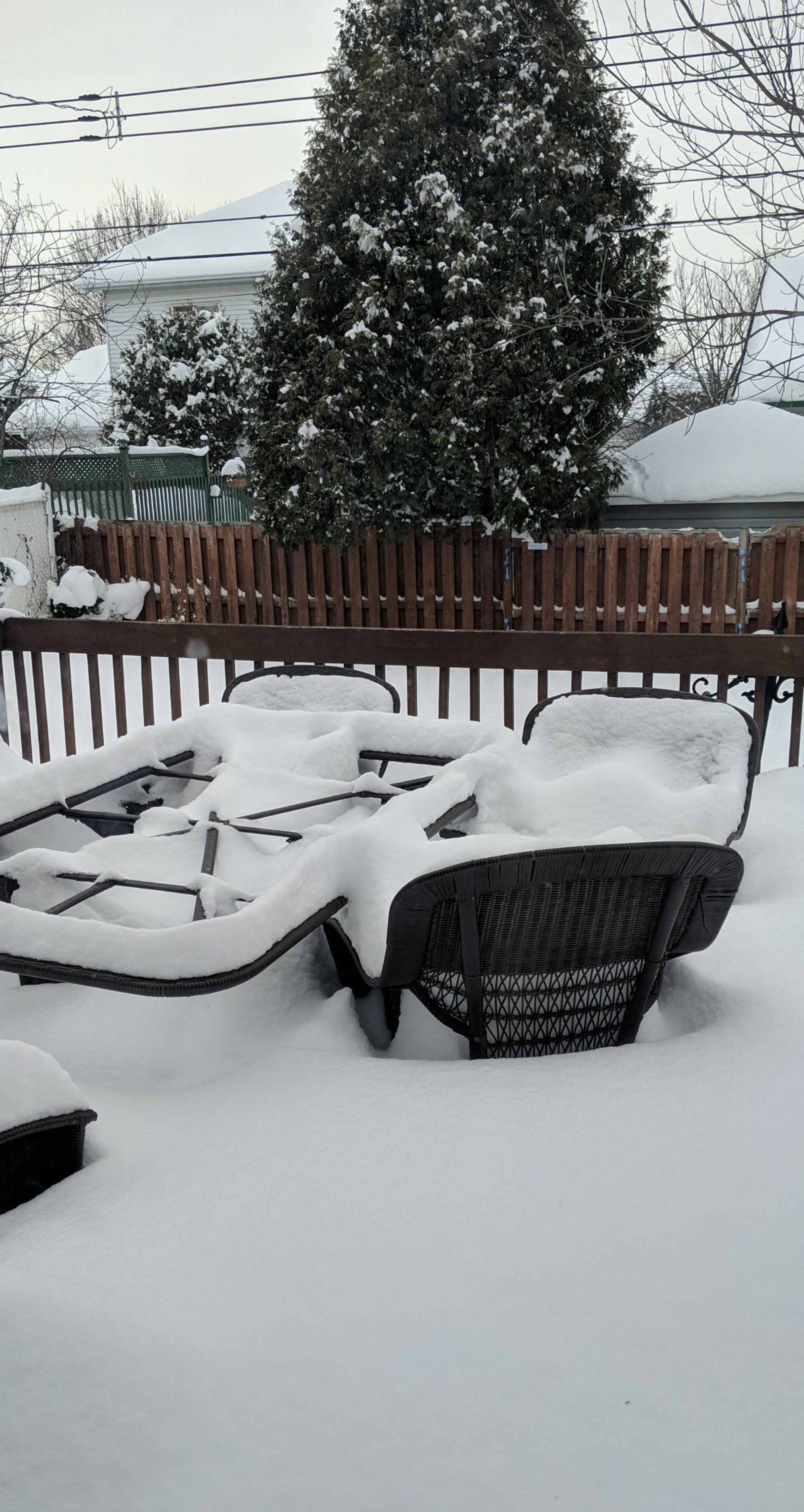 Technically true | Scrolller