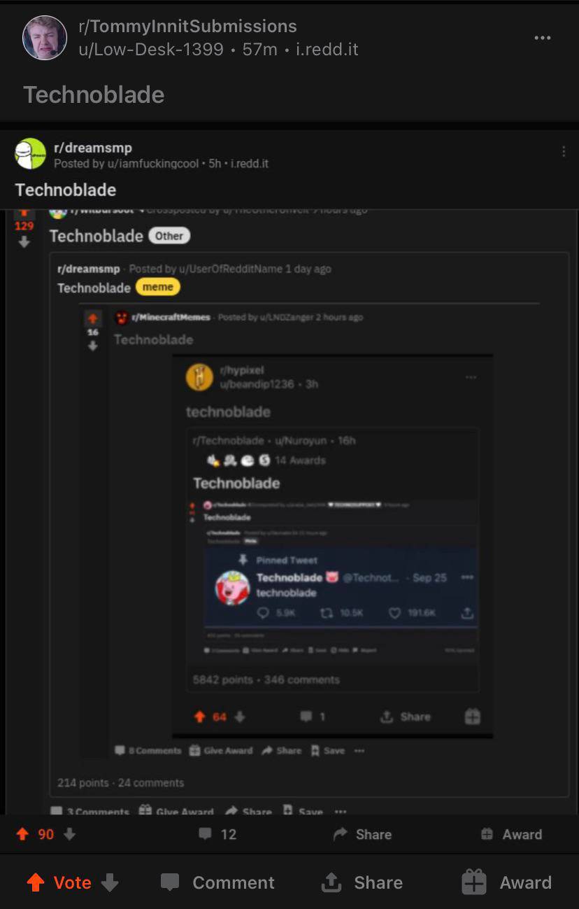 Technoblade | Scrolller