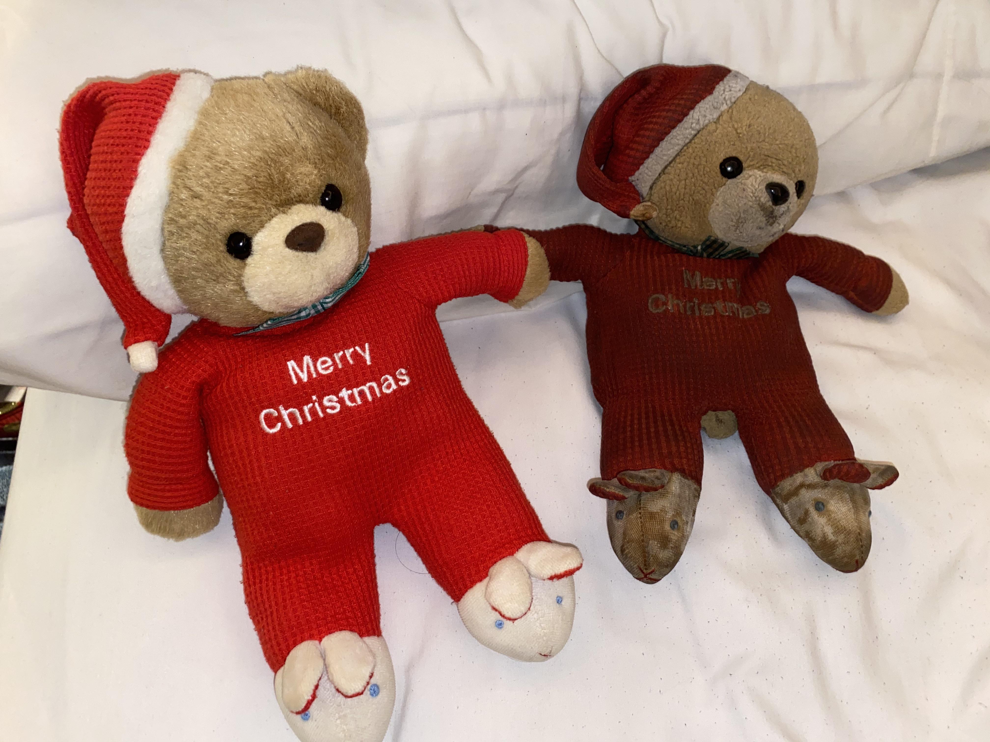 Teddy, my buddy for 22 years, and New Teddy, who was a gift when I started college :) | Scrolller