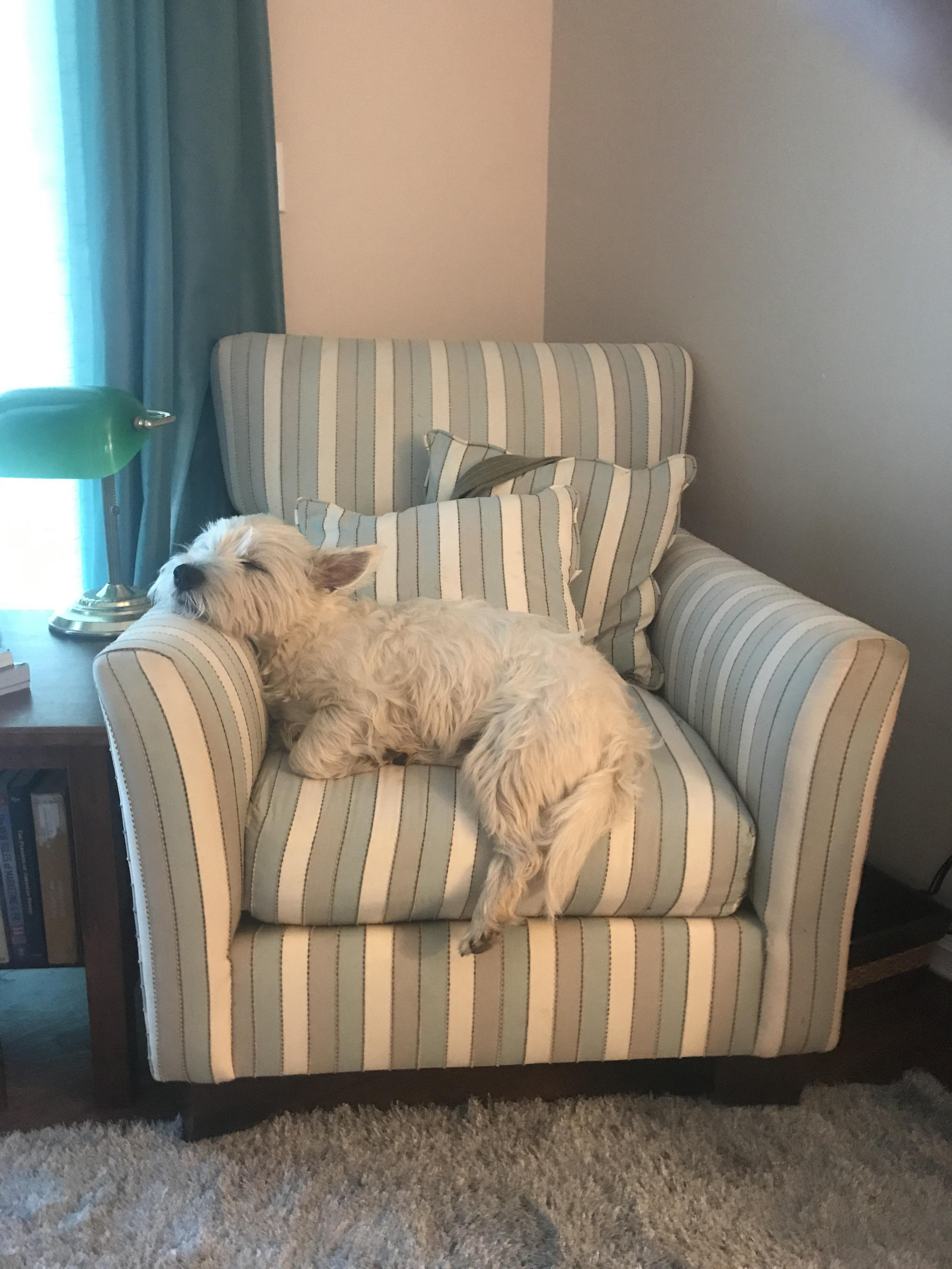 Tell me a story Zzzzz | Scrolller