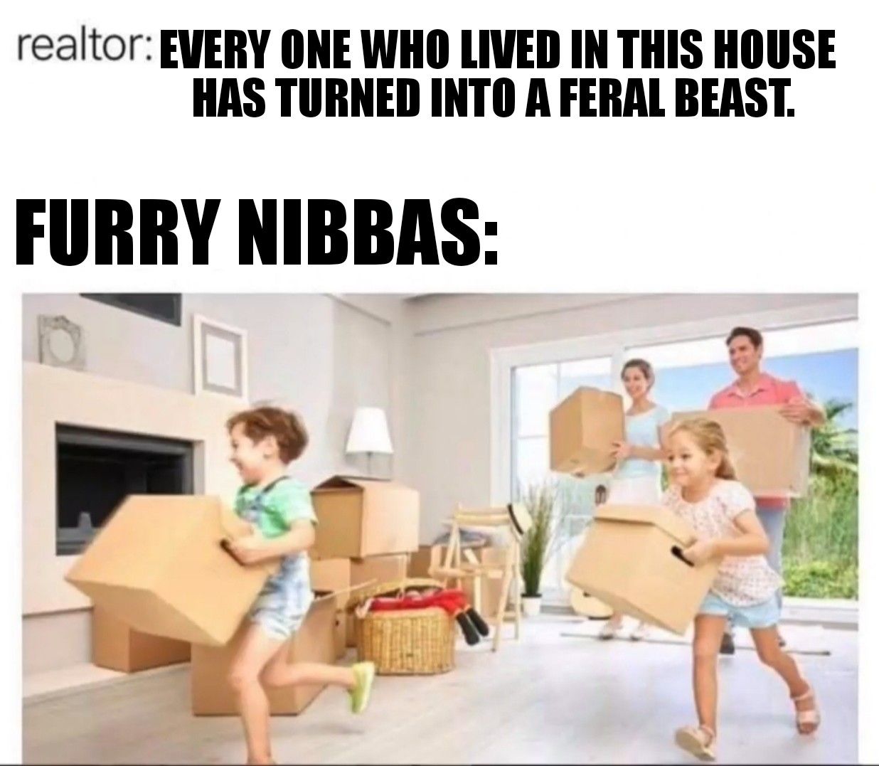 tf🏡irl | Scrolller