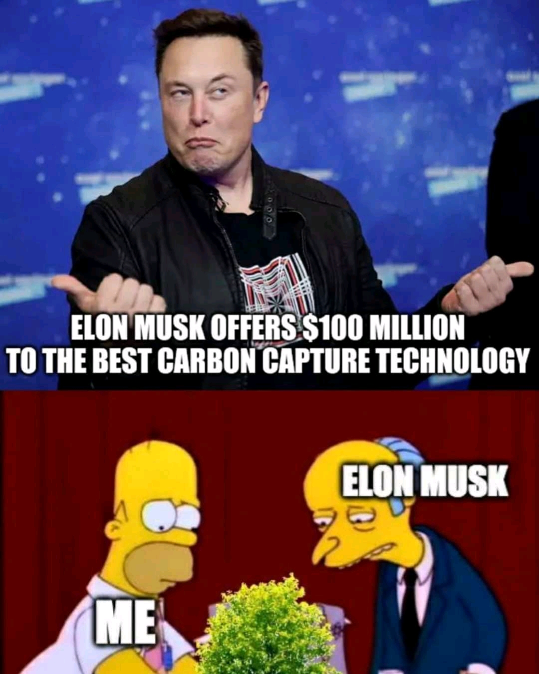 Thank you for Support | Scrolller