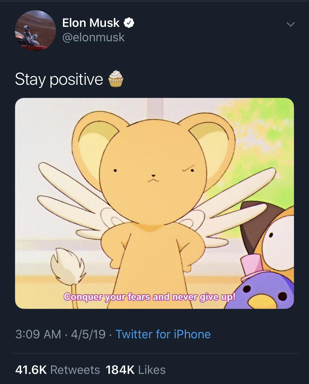 Thanks Elon! | Scrolller