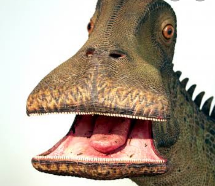 Thanks I Hate Dinosaurs | Scrolller