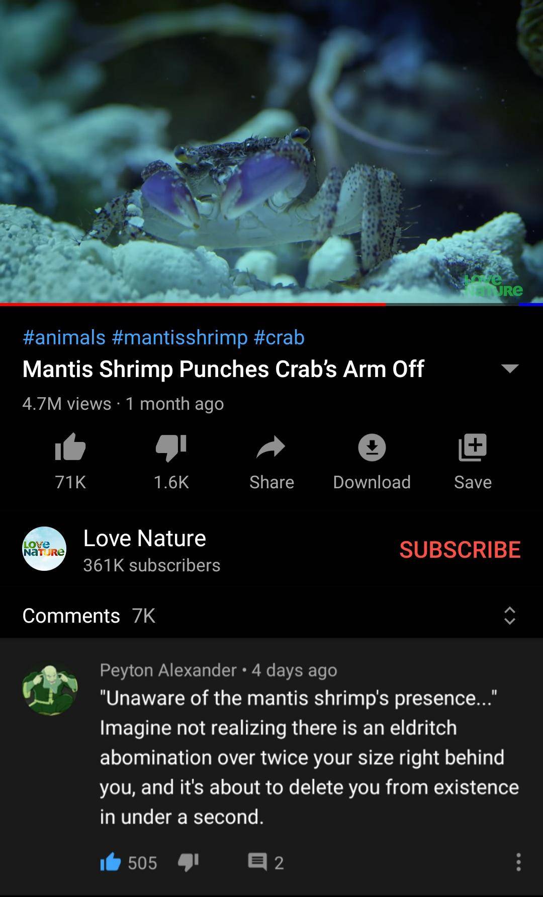 Thanks, I hate eldritch mantis shrimp | Scrolller