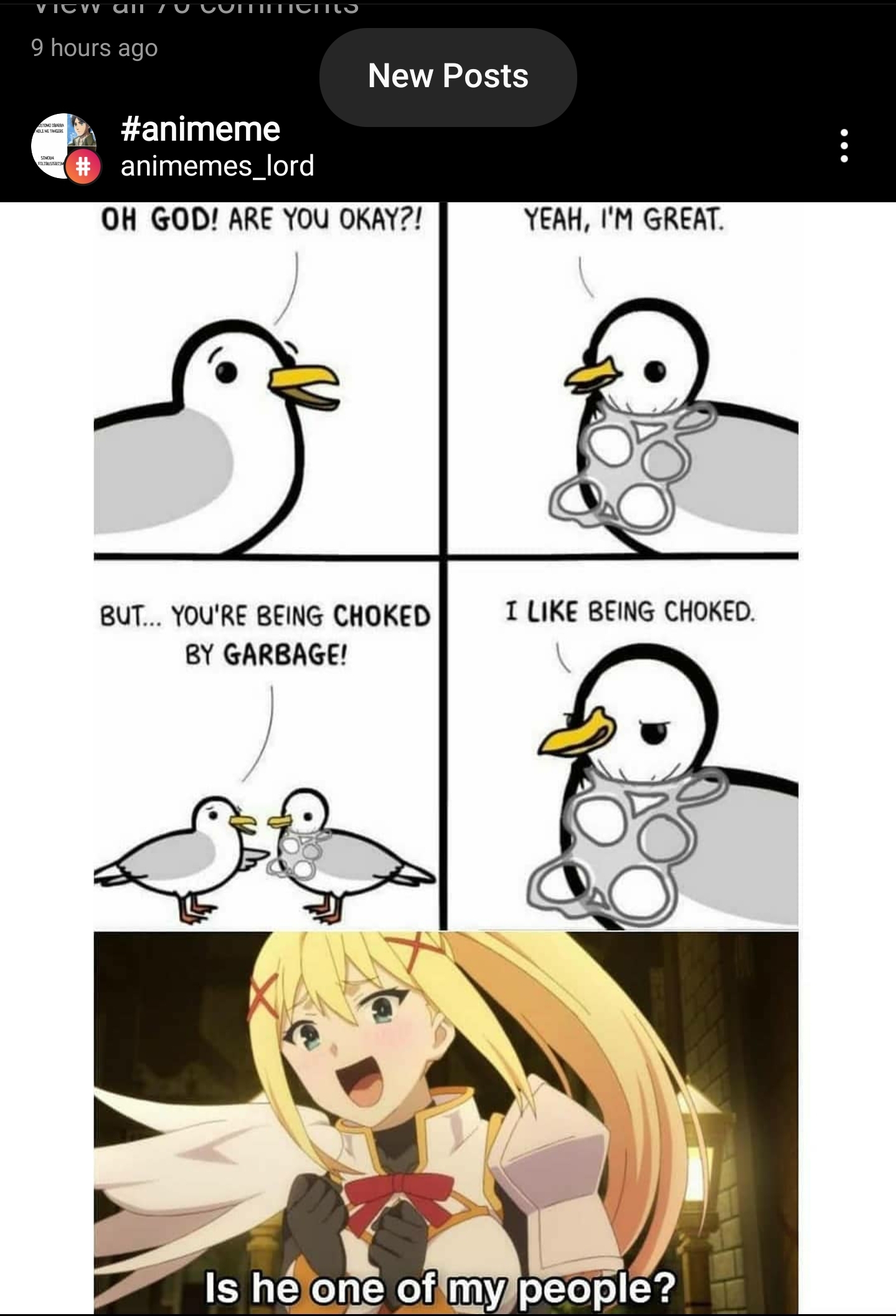 Thanks insta | Scrolller