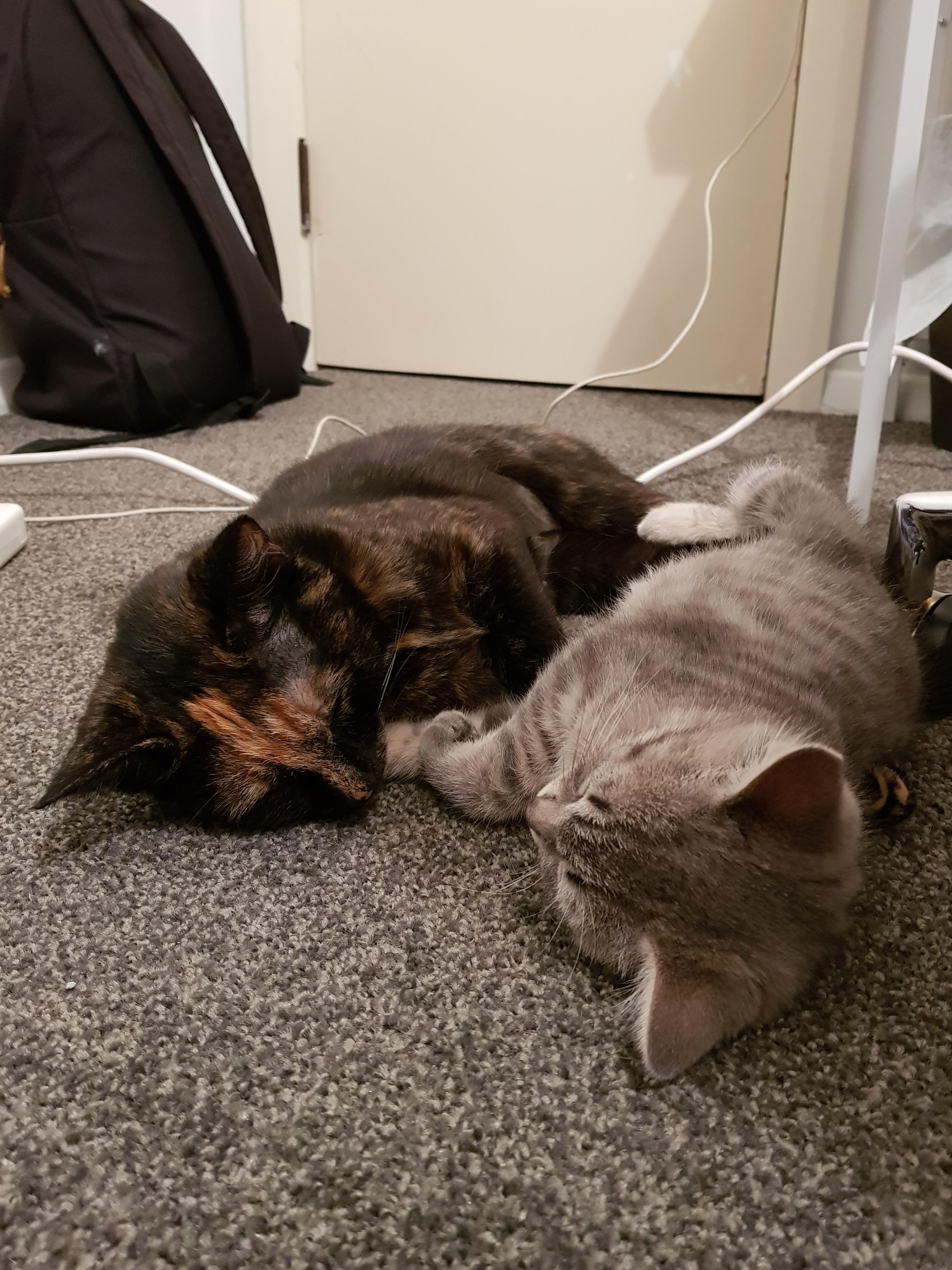 That gap in the middle is them observing social distancing | Scrolller