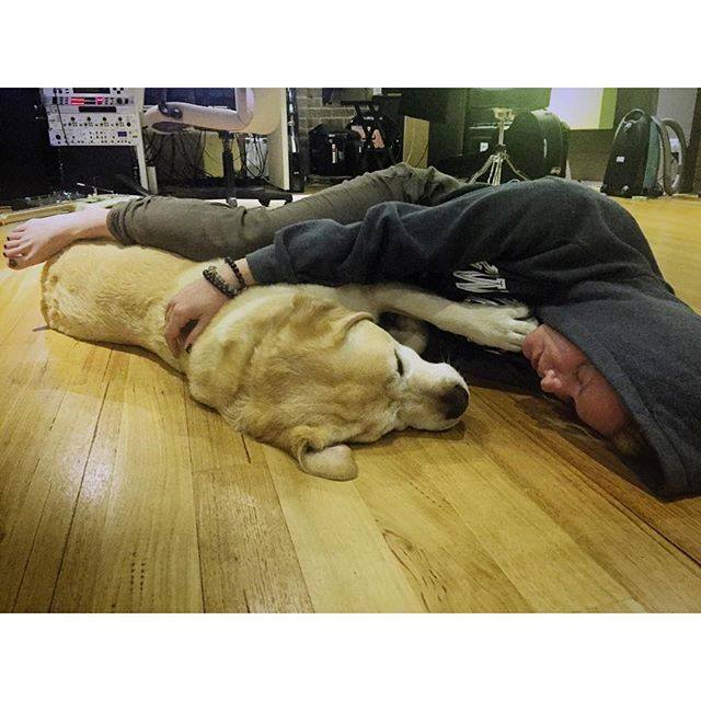 That is one lucky bastard | Scrolller