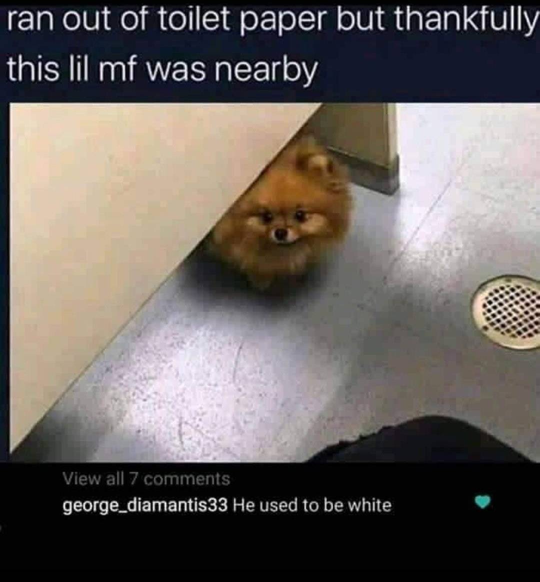 That poor lil guy | Scrolller