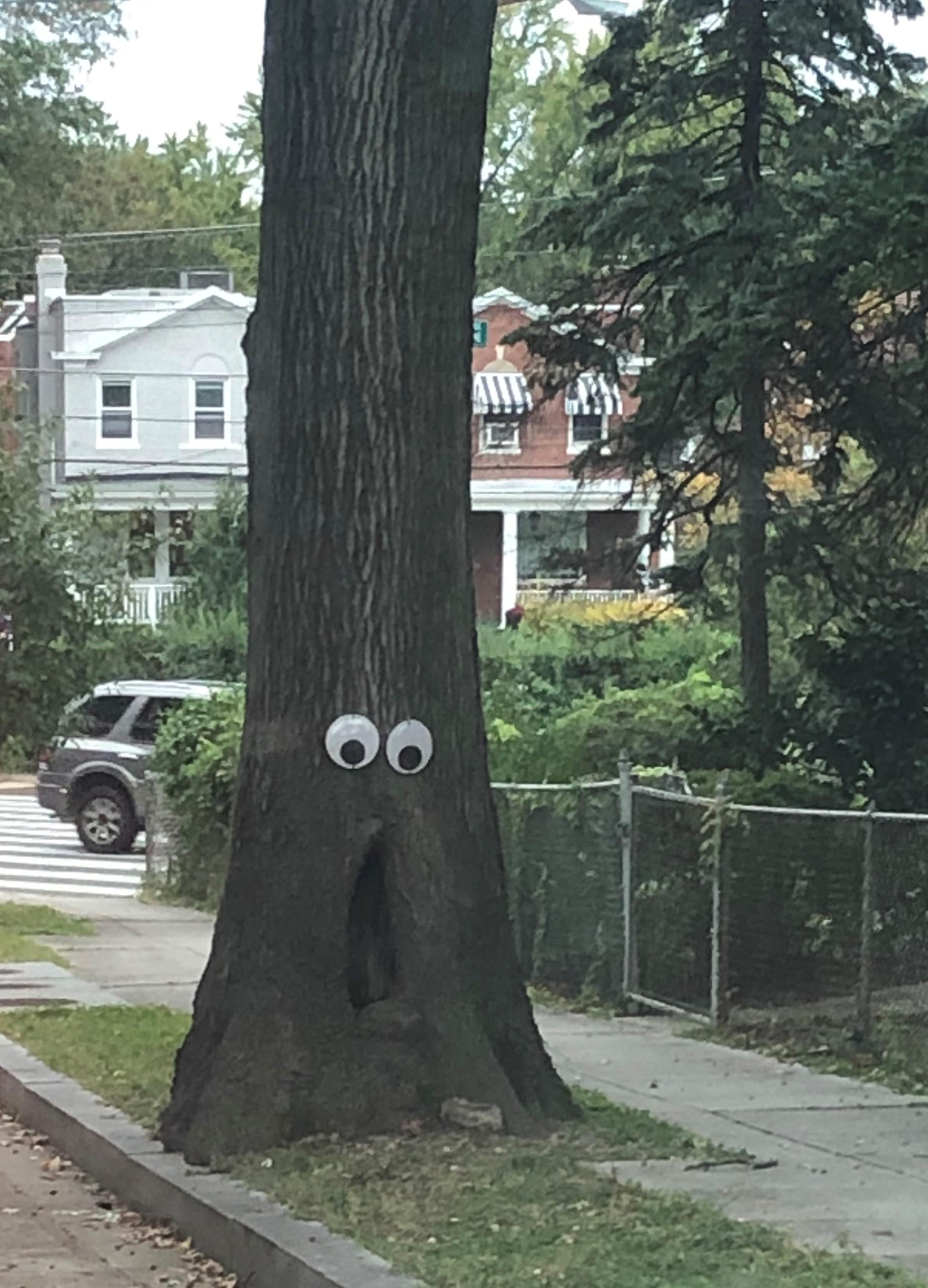 A prime example | Scrolller