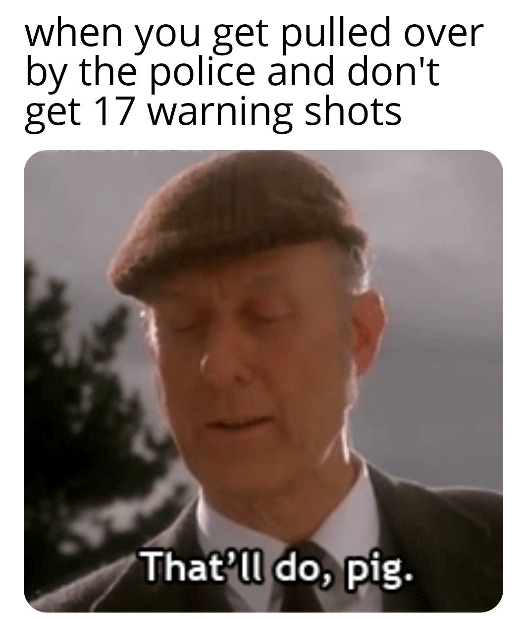 That'll do, | Scrolller