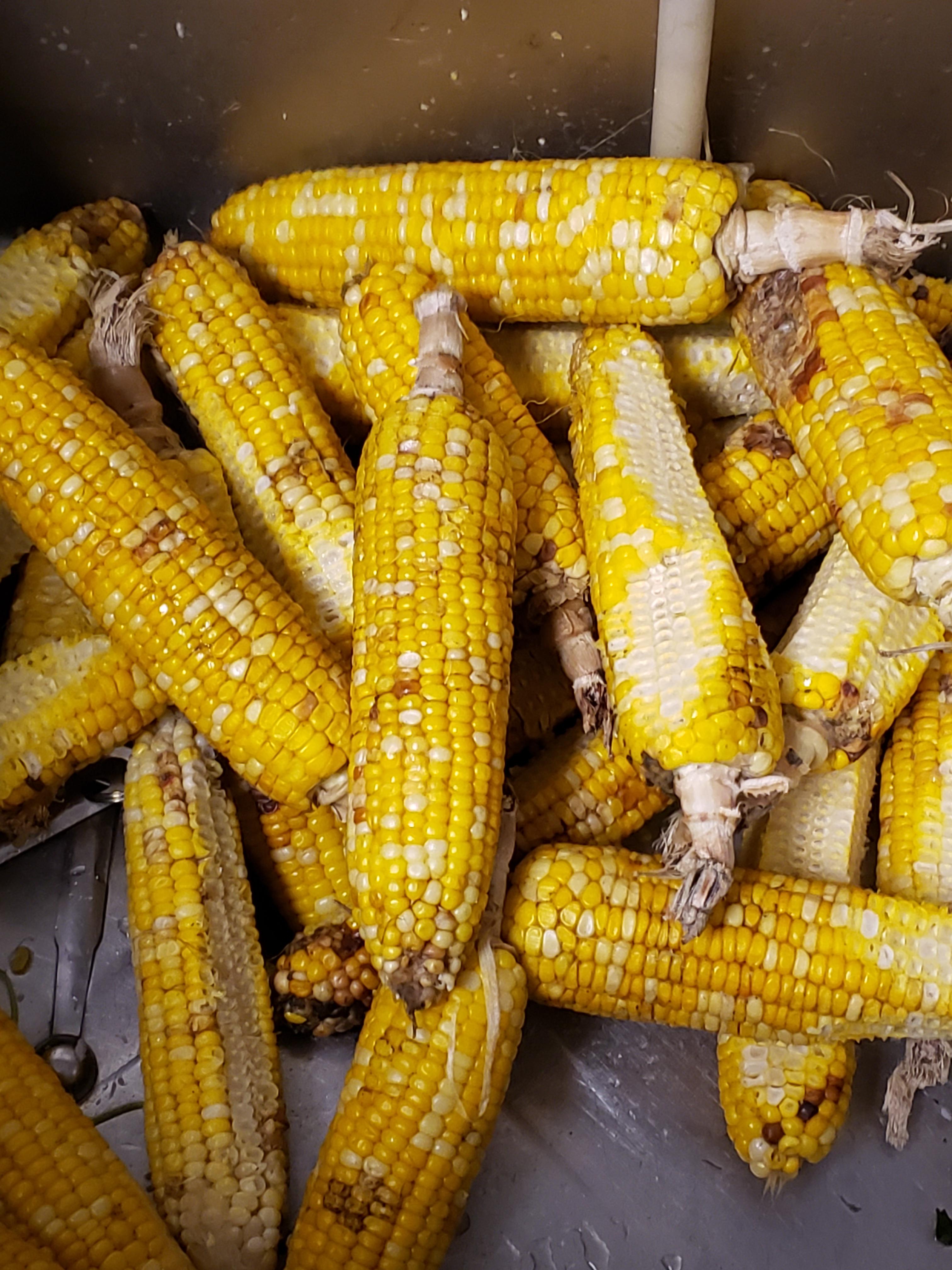 That's elote corn... | Scrolller