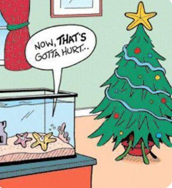 That's gotta hurt. | Scrolller