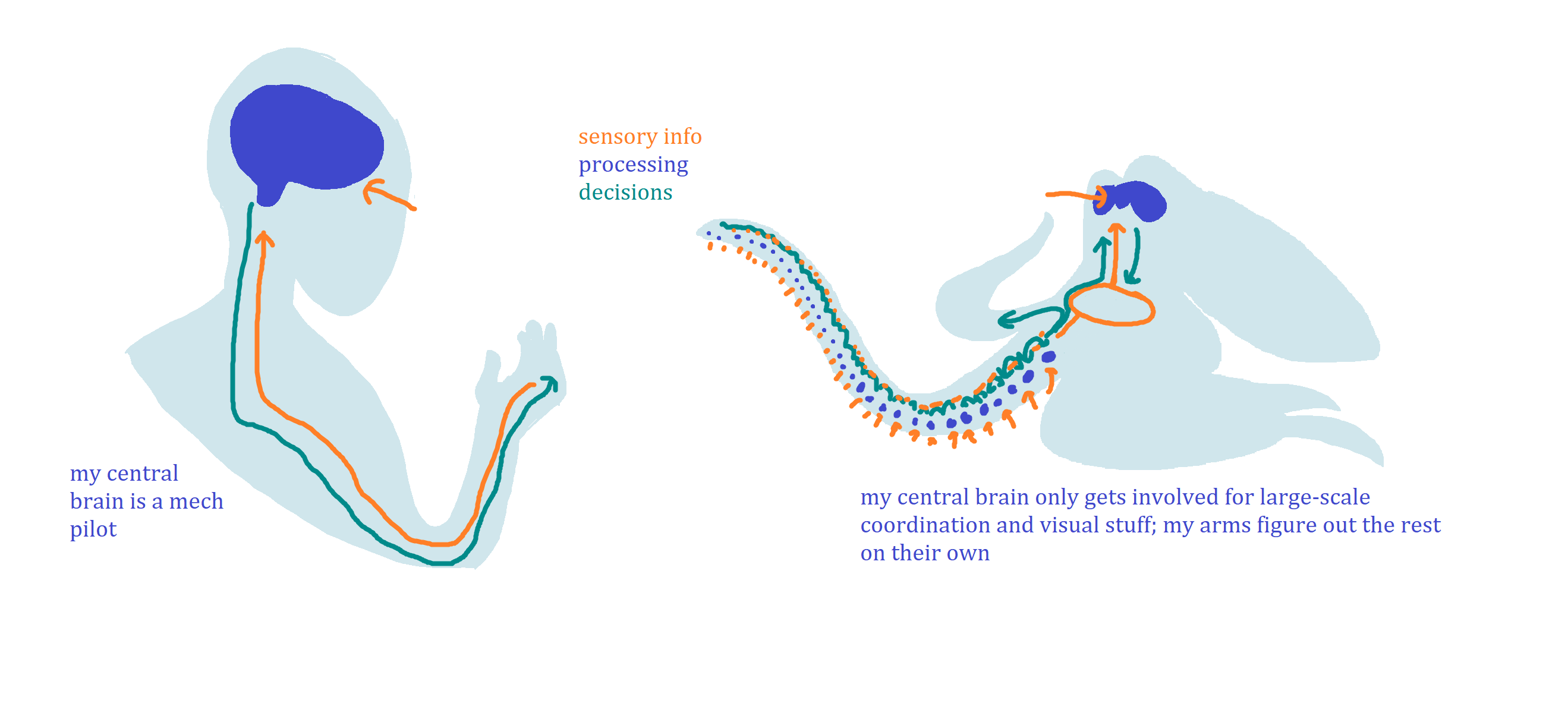 Thats How Distributed Cognition Works Scrolller